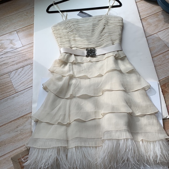 BCBG | Dresses | Bcbg Offwhite Chalk Ruffled Silk Chiffon Ostrich ...